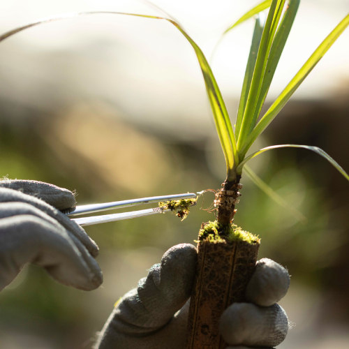 Annual Reporting | Anglo American